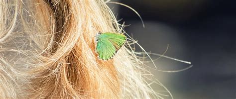 Introduction To Composable Optics With Monocle Ts Dev Community