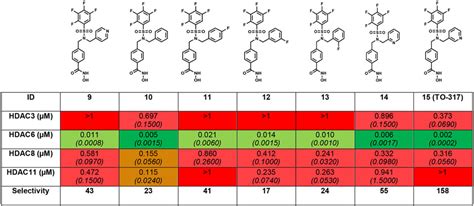 A Unique Molecular Interaction With Histone Deacetylase 6 Catalytic