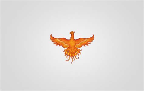Minimalist Phoenix Wallpapers Top Free Minimalist Phoenix Backgrounds