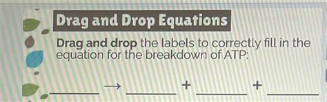 Solved Drag And Drop Equations Drag And Drop The Labels To Correctly