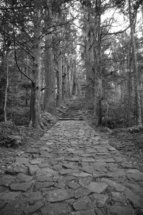 Kumano Photography