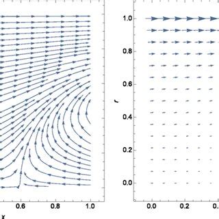 Streamline Left And Vector Field Right Plots Of Ionic Current
