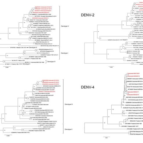 Maximum Likelihood Ml Phylogenetic Trees Derived From The Orfs Of Download Scientific Diagram