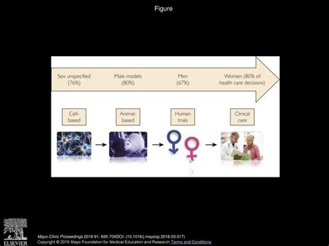 21st Century Women S Health Ppt Download