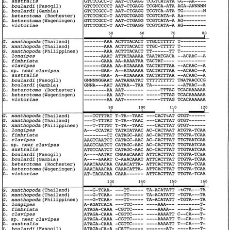 Alignment Of The Dna Sequences For Its2 Plus Flanking Regions Regions