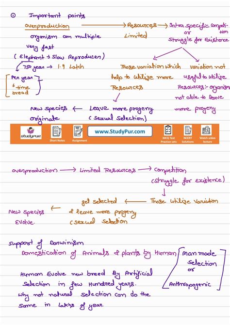 Evolution Notes Class 12 Biology Studypur