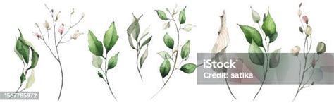 녹색 잎 녹지 가지 나뭇가지 등의 수채화 꽃 세트 Vector Watercolor 클립 아트 그리기 0명에 대한 스톡 벡터 아트