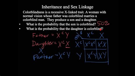 Sex Linked Inheritance Telegraph