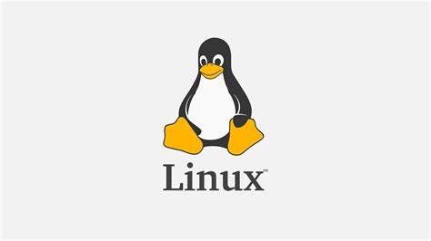 Shopt Linux