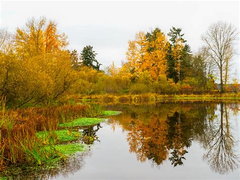 Reflection Behance