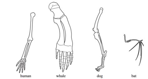Eoc Science Practice Test 2025 Official Study Guide