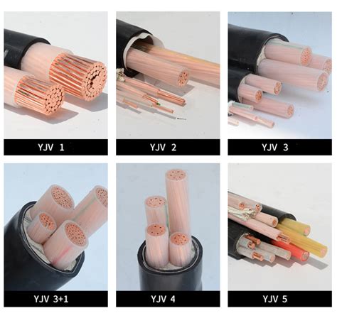 XLPE Insulated PVC Sheathed Power Cable Anhui Xinsen Instrument And
