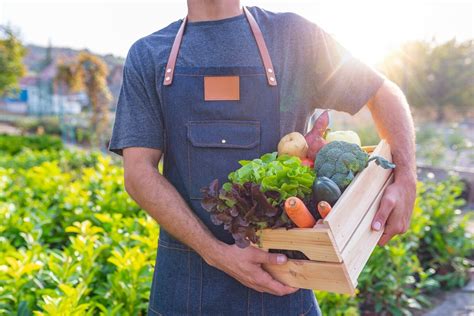 Agricultura Orgânica O Que é E Como Começar