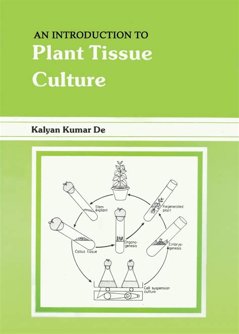 An Introduction To Plant Tissue Culture Premiumjs Store