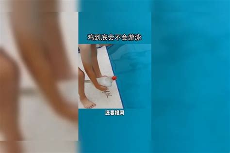 摊上一个好主人不是那么容易的 搞笑配音 搞笑视频 主人 视频