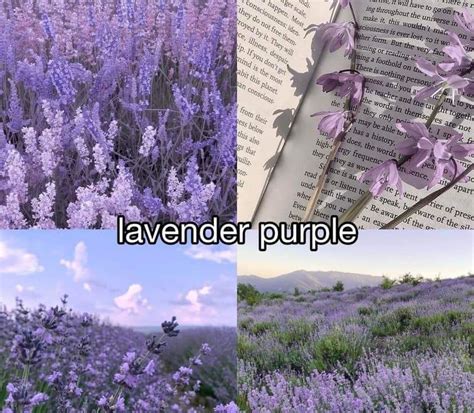 240 Land Scap Ideas In 2025 Beautiful Nature Nature Photography