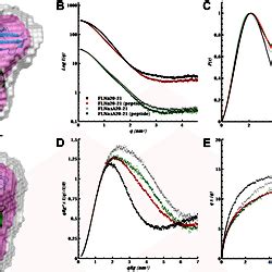 Standard Analysis Of SAXS Data