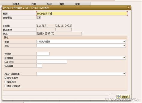Sap Bdc 录屏及 Abap 调用 Bdcbdc录屏 Csdn博客
