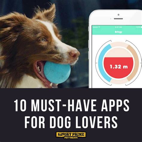 10 Must Have Apps For Dog Lovers Savory Prime Pet Treats