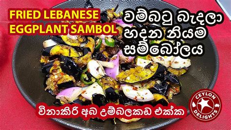 වම්බටු බැදලා හදන සුපිරි සම්බෝලය Fried Lebanese Eggplant Sambol Eggplant Eggplantrecipe 😋♨️🌶️