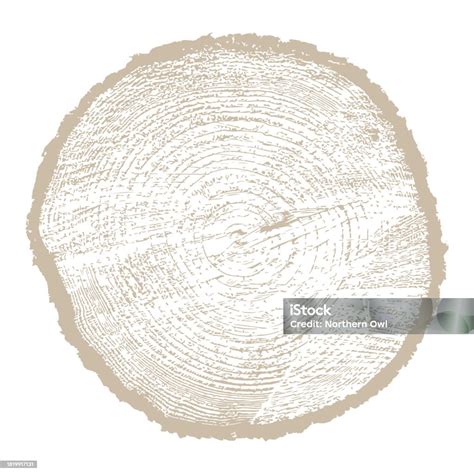 Wooden Log Crosssection Texture Stock Illustration Download Image Now Tree Ring Vector
