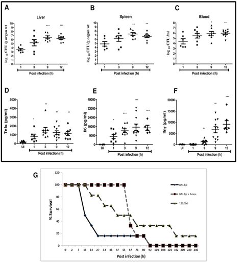 The Extent Of Cfu Burden Recovered As A Function Of Time In Liver A