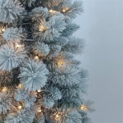 Bosk Frosted Arden Pine Prelit Christmas Tree Newbank Garden Centre