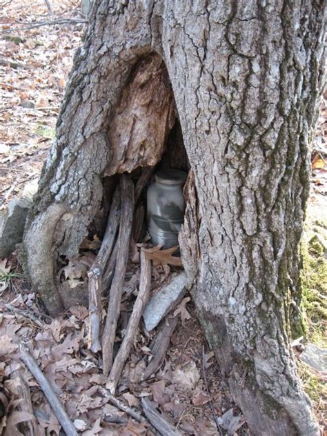 Hidden Cache In Tree Trunk