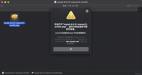 Mac系统安装MySQL连接Navicat手把手超详细 mac安装navicat CSDN博客