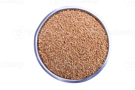 Wheat Grains Seeds In Steel Bowl Top View On Isolated Background