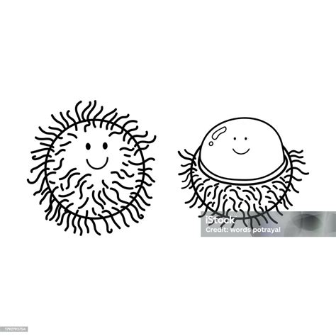 손으로 그린 벡터 일러스트 레이 션 색상 어린이 귀엽다 웃는 과일 Rambutan 클립 아트 0명에 대한 스톡 벡터 아트 및 기타 이미지 Istock