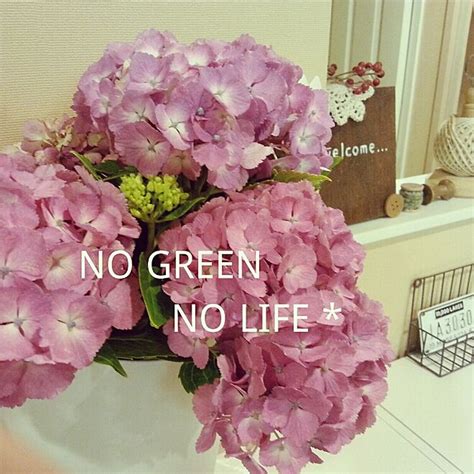 発表中！ No Green No Life Part2！ イベント ｜ Roomclip（ルームクリップ）