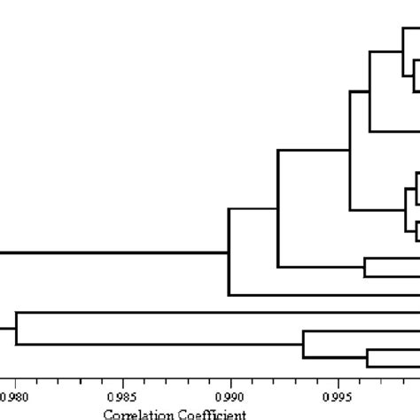 Geographic Distribution Of The Solanum Kurtzianum Ktz S Chacoense