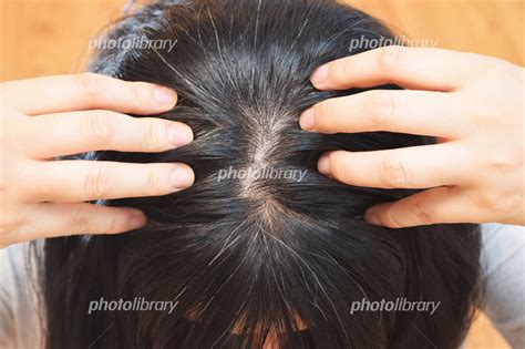 Photolibrary