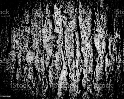 흑백 색상의 금이 간 그래픽 효과의 추상적인 텍스처 패턴은 배경으로 사용 0명에 대한 스톡 사진 및 기타 이미지 0명 거친 검은색 Istock