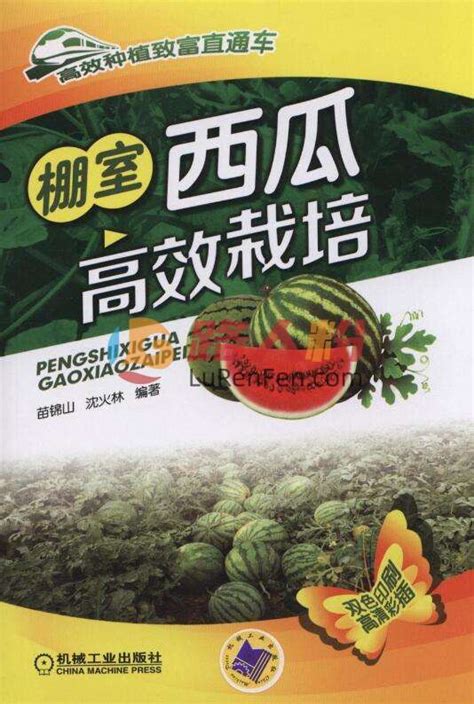 棚室西瓜高效栽培