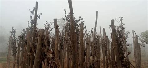 Art And The Field Context And Materiality