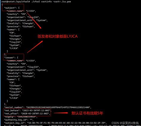 使用cfssl为程序添加证书cfssljson使用 Csdn博客
