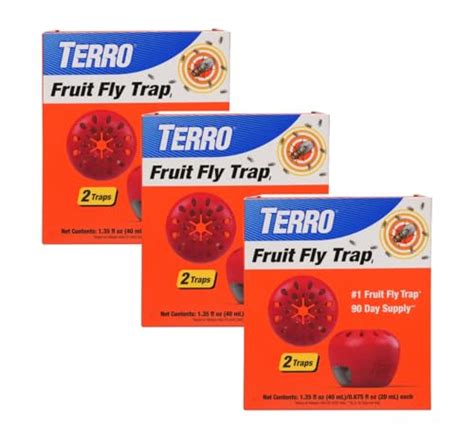 Tiny Black Gnats In House Identifying And Controlling Them Patch