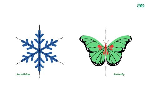 examples of rotational symmetry in nature and design
