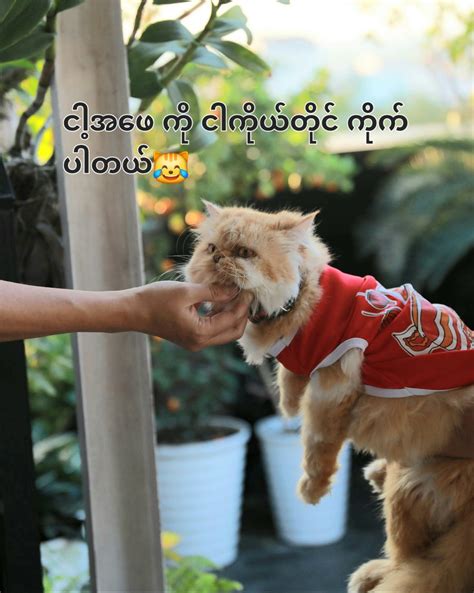 လေးသိန်းနှင့်မိသားစု Added A New Photo လေးသိန်းနှင့်မိသားစု