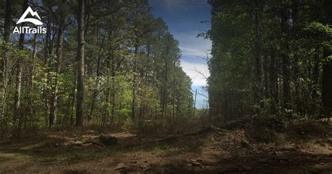 2023 Best Walking Trails In Ouachita National Forest Alltrails