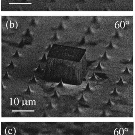 SEM Images Showing The Steps In The Fabrication Of A Single STM Tip Download Scientific Diagram