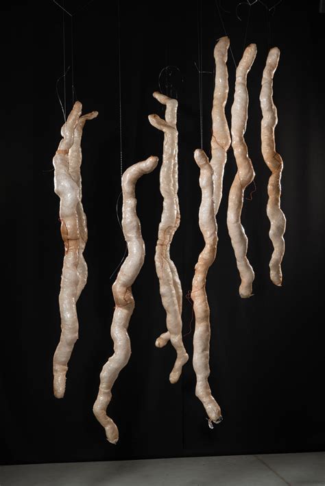 Cycle Incompatibilia Viscus Ula Gogol Artwork Sculpture