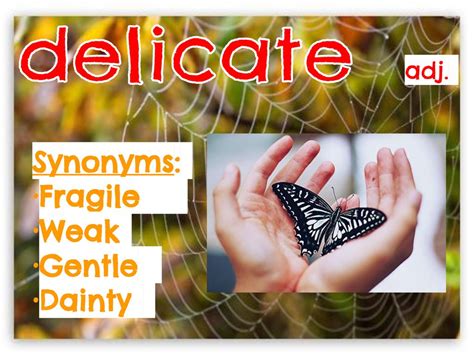 Have You Ever Heard Of The Word Delicate What Do You Think It Means