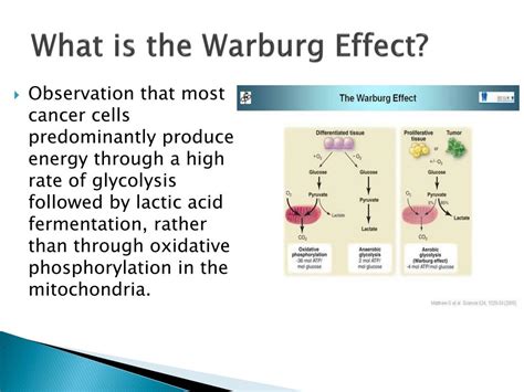 Ppt Aerobic Glycolysis And Cancer Powerpoint Presentation Free Download Id 3309635