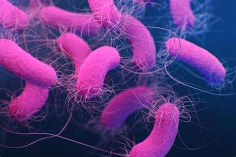 Self Produced Bacterial Toxin Induces Cancer Cells To Commit Suicide