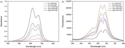 a absorbance spectra of mb pegdma paa nps as function of matrix