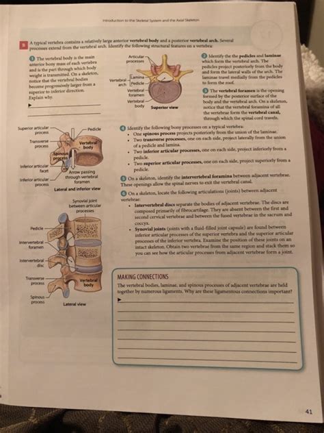 solved classifying bones according to location bones can be