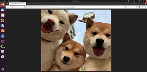 docker中fastdfs安装和使用 docker安装fdfs csdn博客